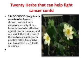 20 herbs that can help fight cancer By Allah Dad Khan | PPT