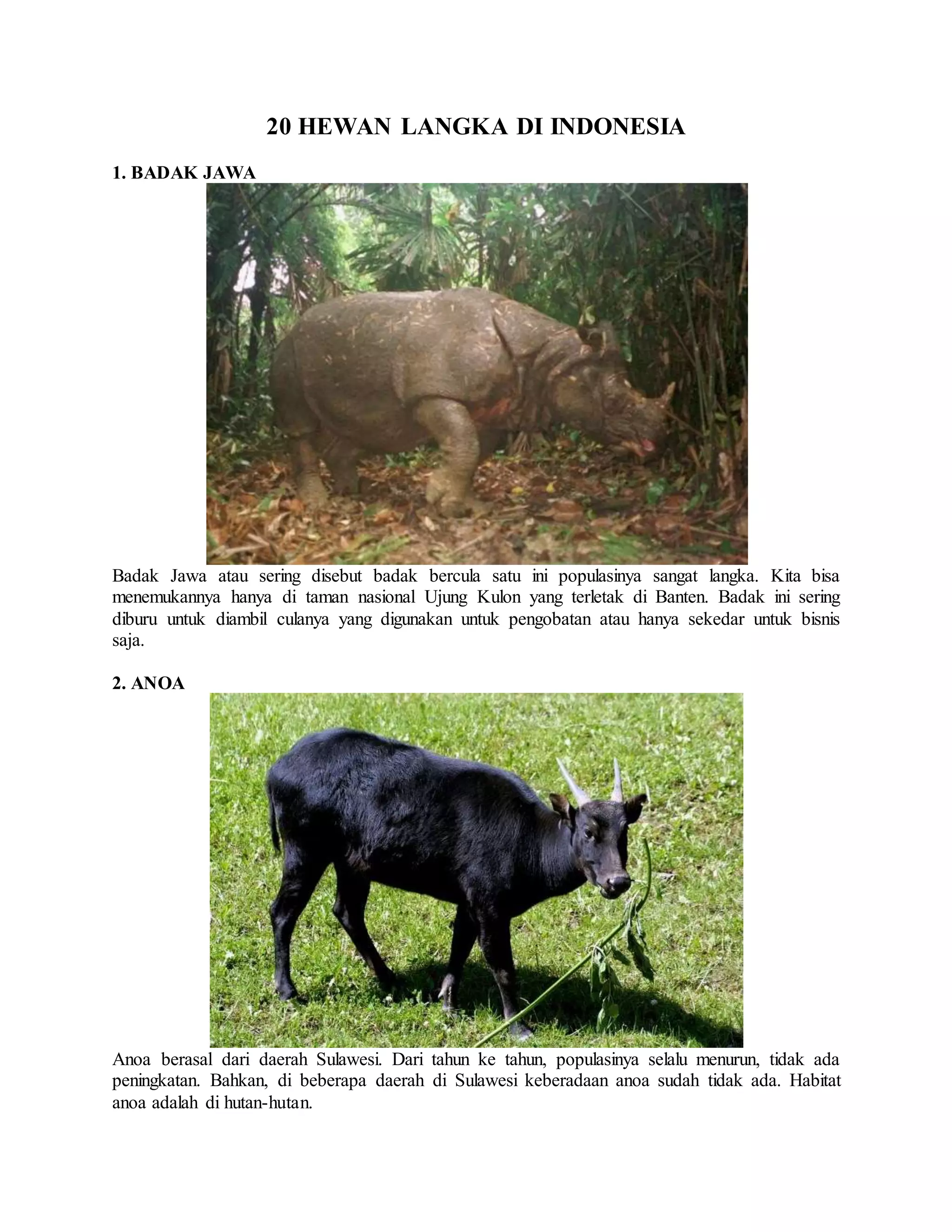 20 hewan langka di indonesia | DOCX