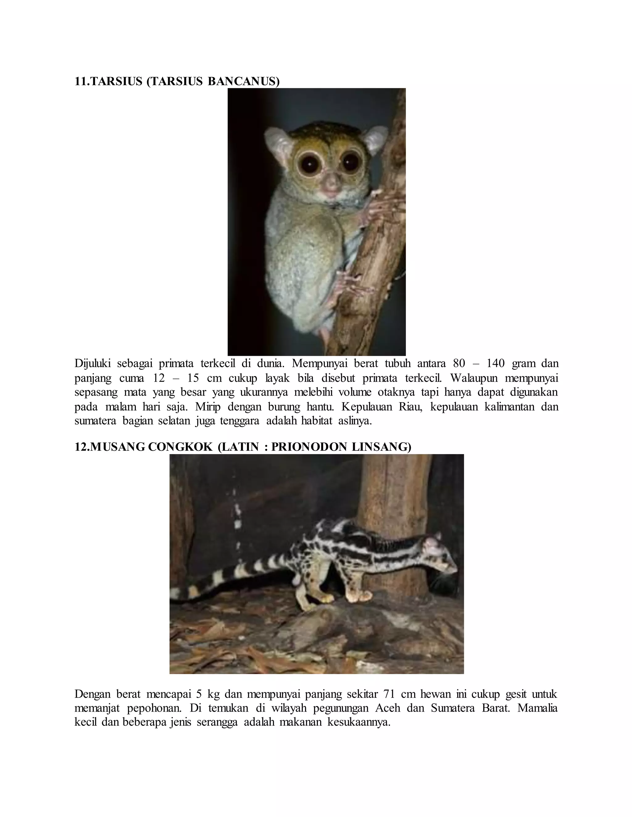 20 hewan langka di indonesia | DOCX