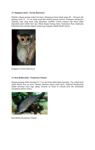 20 hewan langkah di indonesia | DOCX