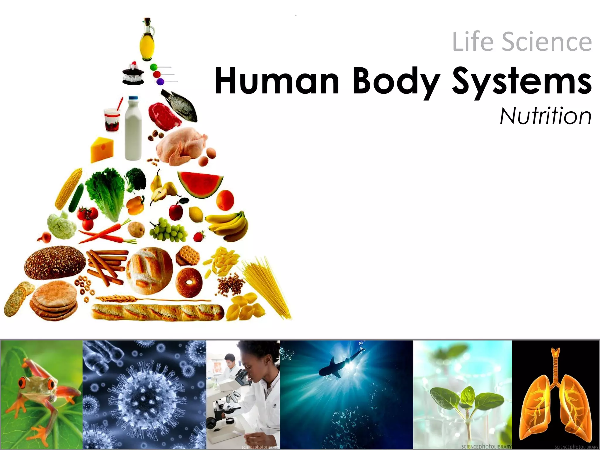 Human Nutrition | PPT