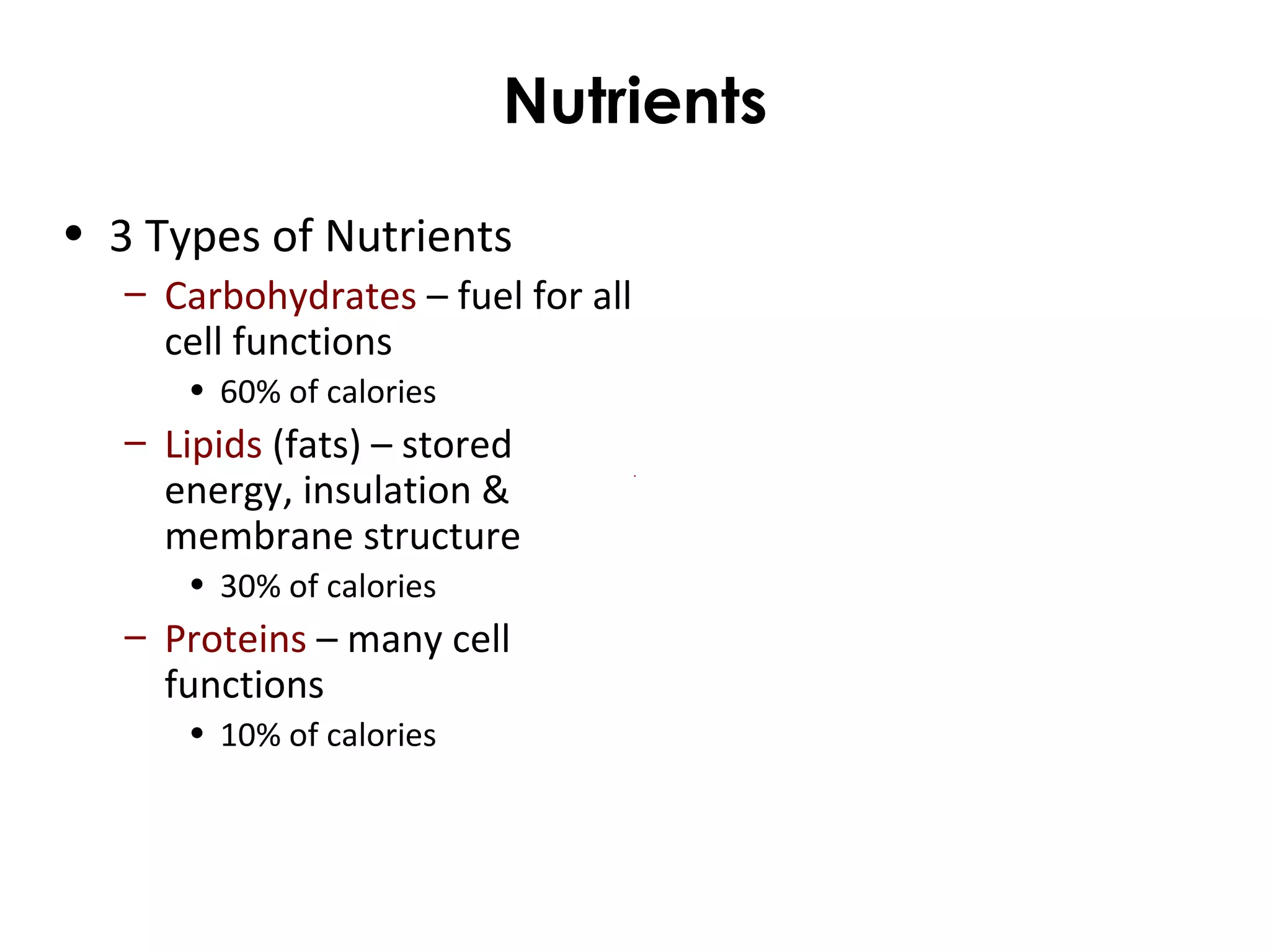Human Nutrition | PPT | Healthy Cooking and Eating | Food & Drink