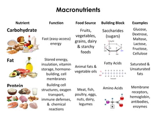 Human Nutrition | PPT | Healthy Cooking and Eating | Food & Drink