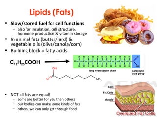 Human Nutrition | PPT | Healthy Cooking and Eating | Food & Drink