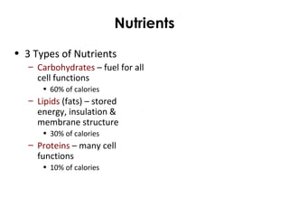 Human Nutrition | PPT | Healthy Cooking and Eating | Food & Drink