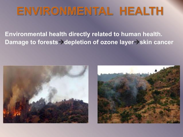 20 human population and the environment | PPTX