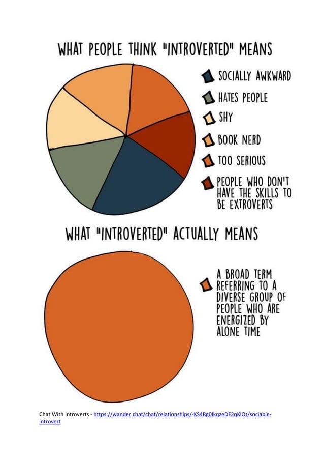 20 illustrations and graphs shows life of introverted people | PDF