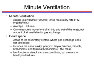 20_lecture_ppt-Respiratory-System.ppt Seeley's | PPT