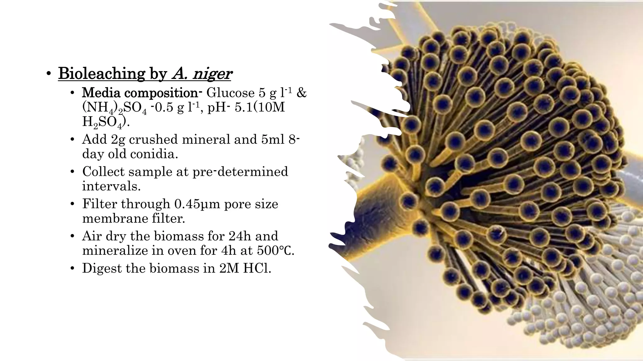 Comparison of three different Bioleaching systems for Li recovery from ...