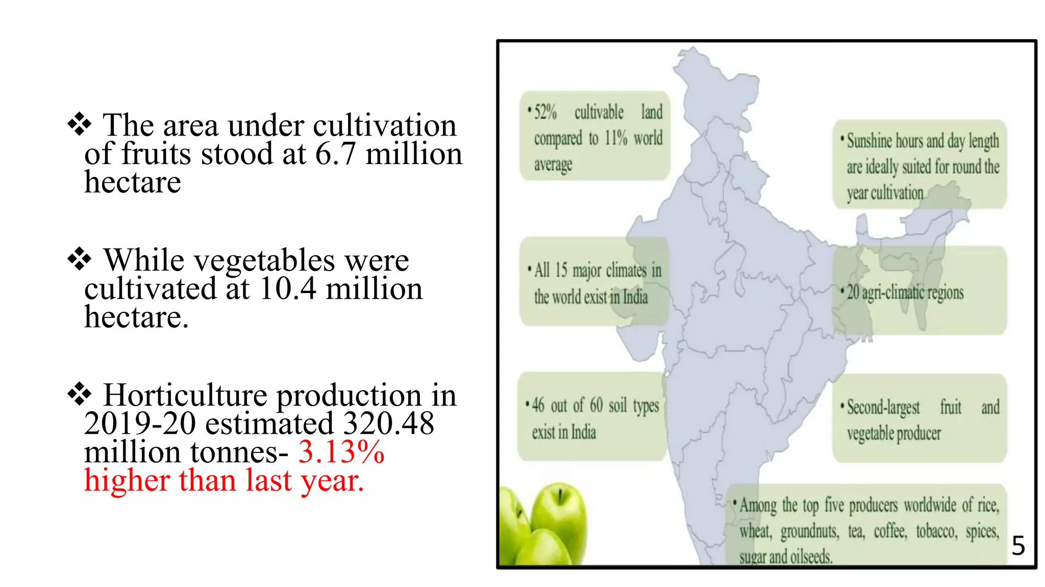 major fruits and vegetables crop in India 2019-20 | PPTX