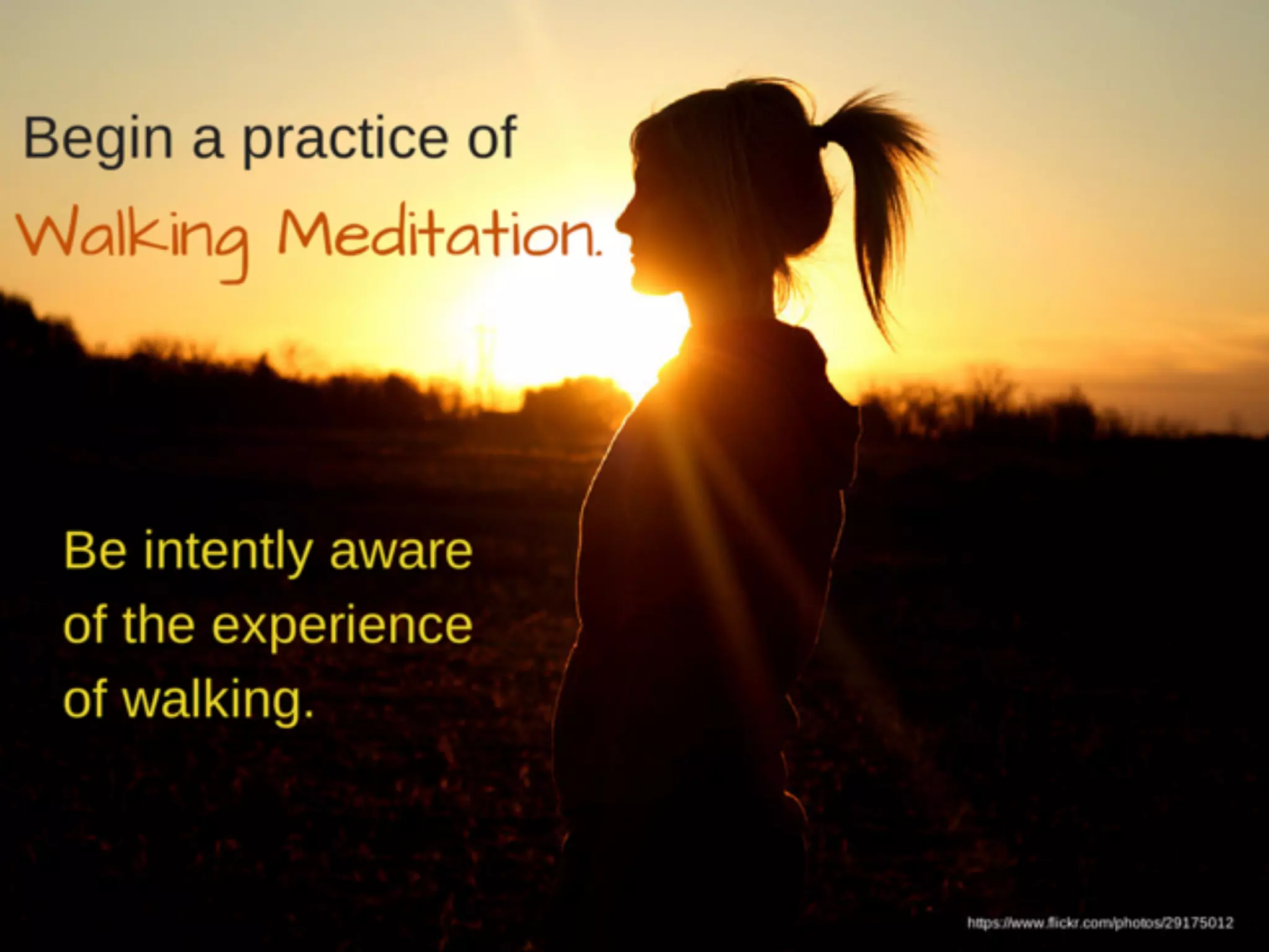 20 Habits Of Mindful People (Mindfulness) | PDF