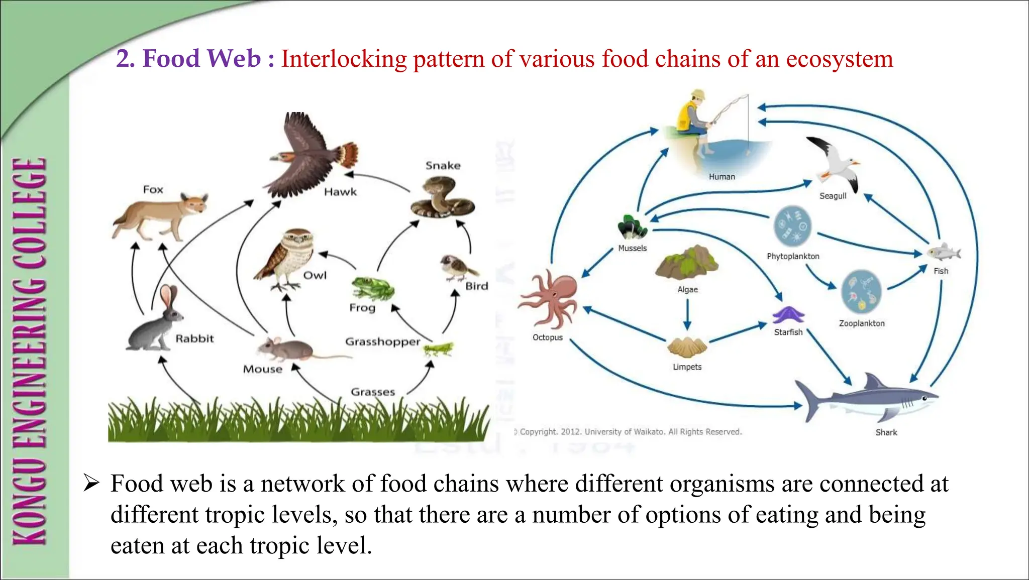 20MNT31 & Environmental Science - Ecosystem (2023-24-II-AIDS-B).ppt