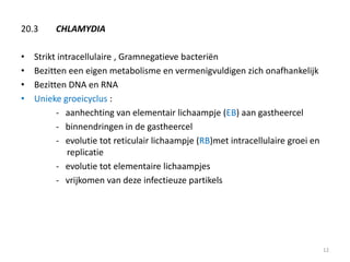 20 mycoplasma en chlamydia | PPTX