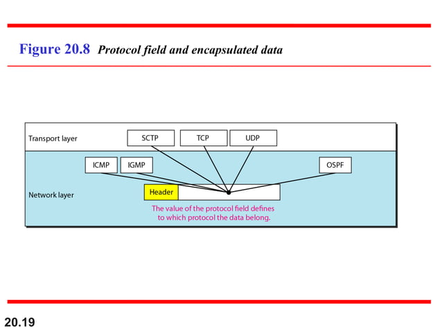 20 Network Layer_Internet_Protocol | PPT 20 Network Layer_Internet_Protocol | PPT