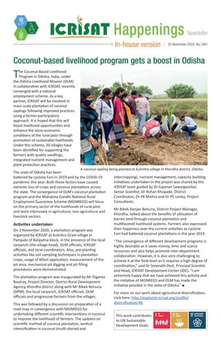 Coconut-based livelihood program gets a boost in Odisha | PDF
