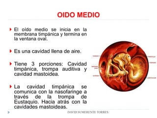 Anatomía del Oído Humano | PPTX