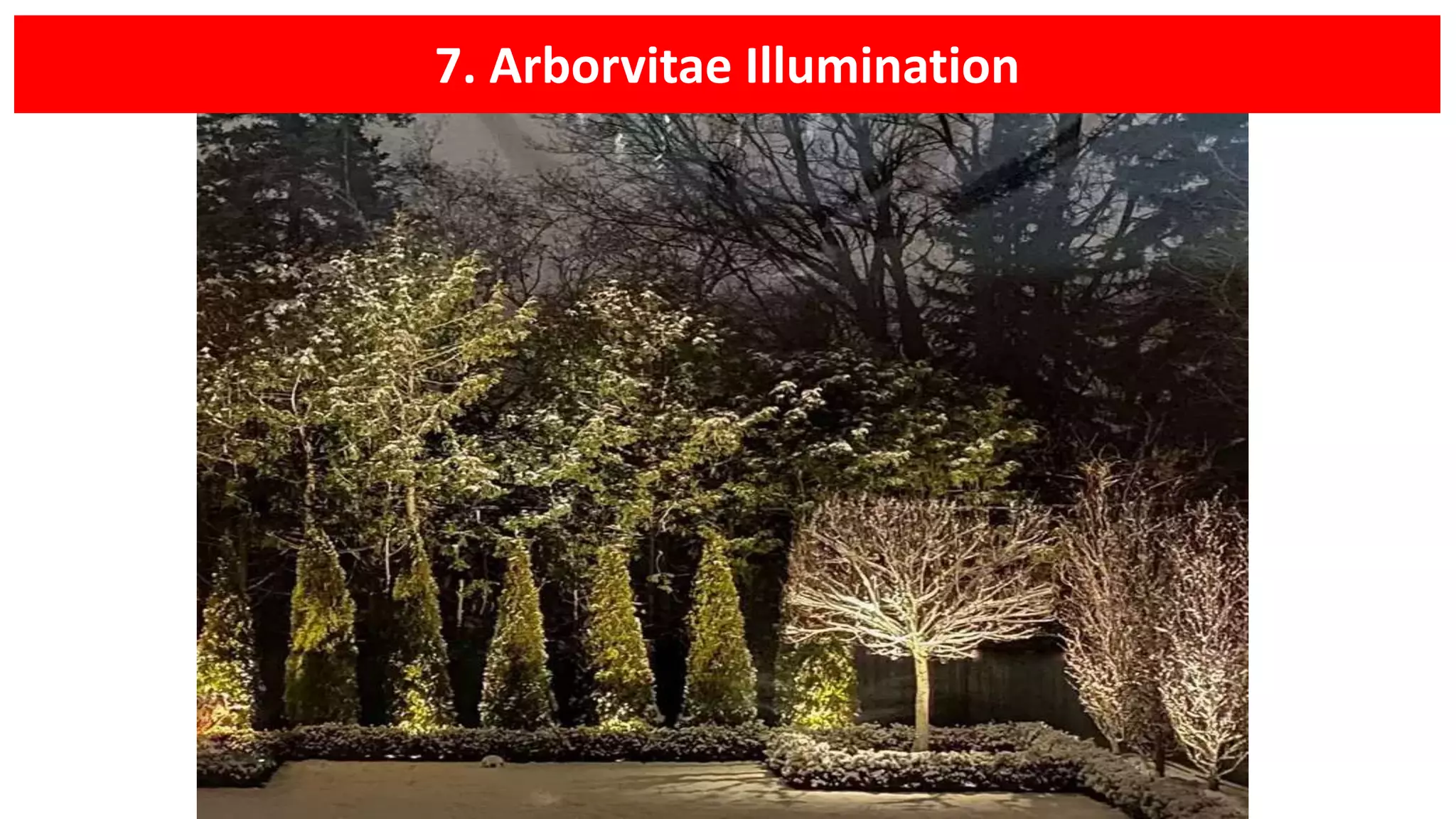 20 Outdoor Lighting Ideas to Make Your Plants Shine.pptx