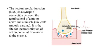 Drugs_stimulating_neuromuscular_junction.pptx