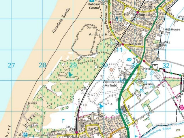 SAND DUNES - AINSDALE