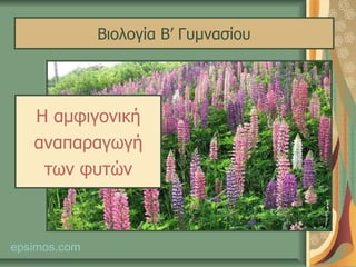 Η αναπαραγωγή των φυτών | PPT