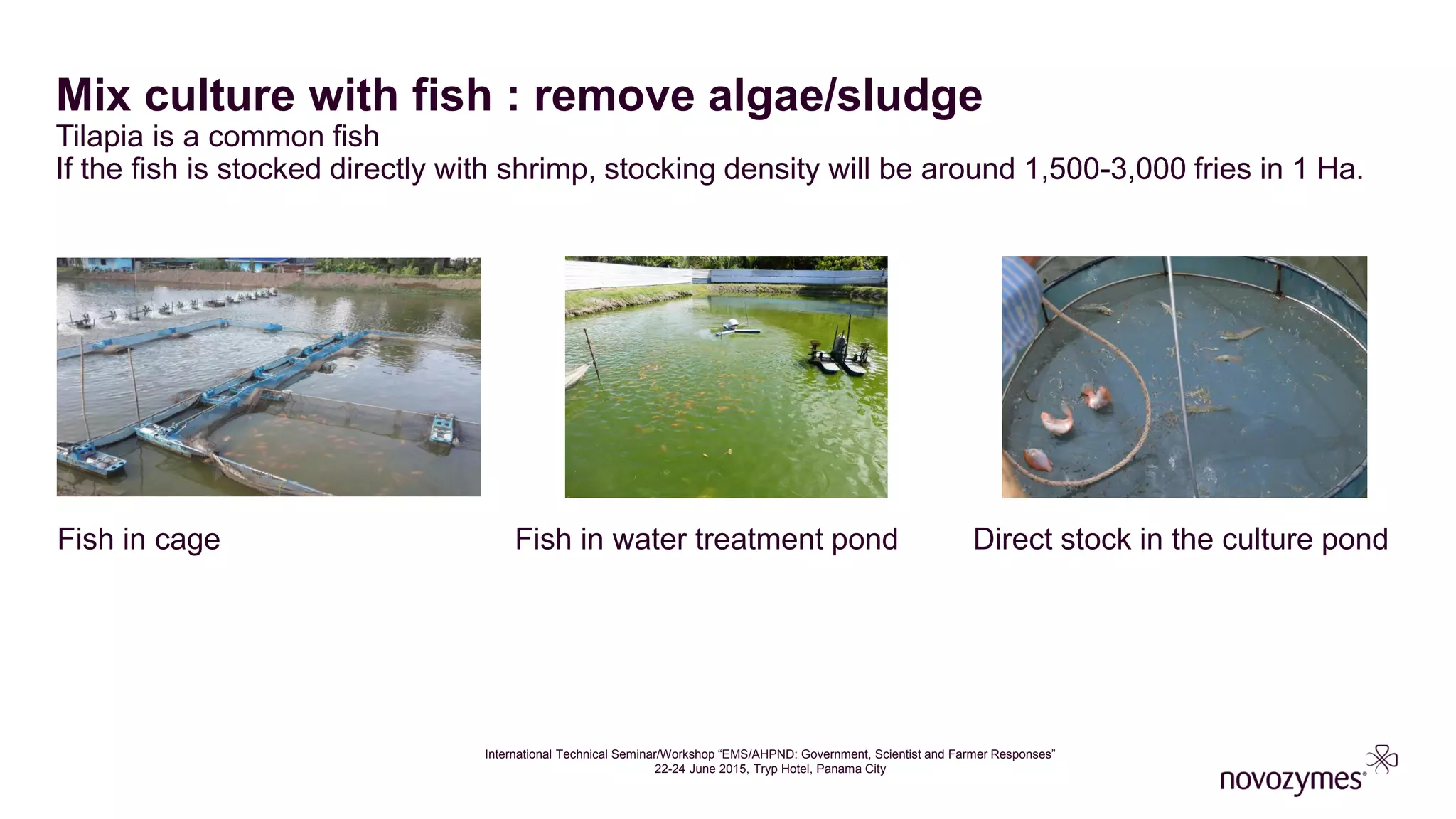 Presentation 20: Good aquaculture and biosecurity practices in shrimp ...