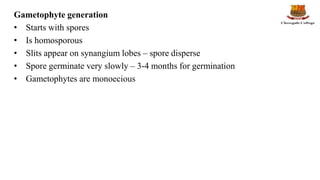 Reproduction and life cycle of Psilotum | PPTX