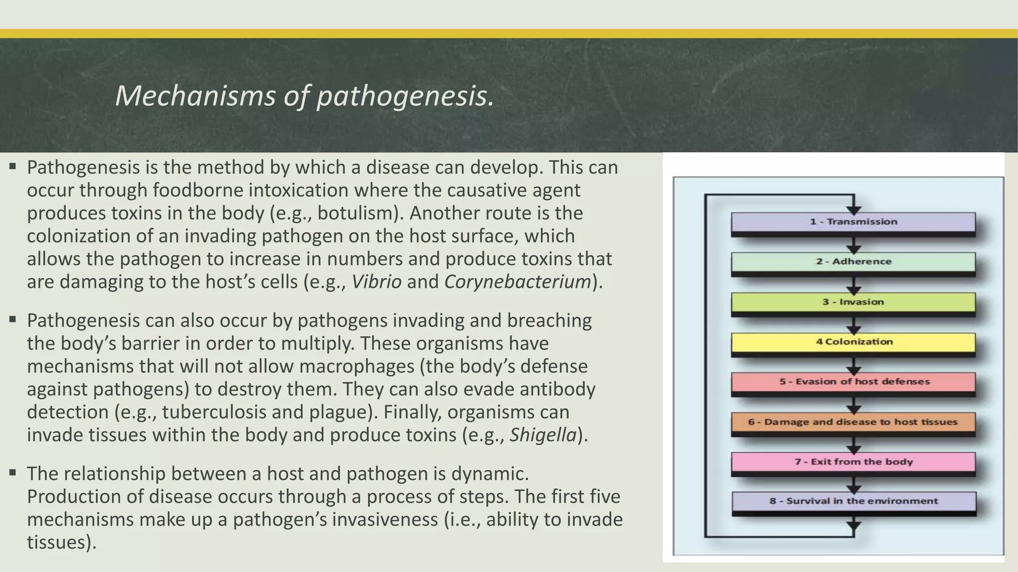Host Pathogen Interactions Pptx