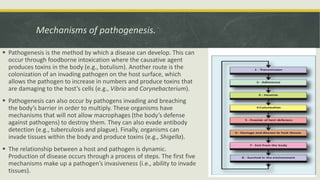 Host pathogen interactions | PPTX