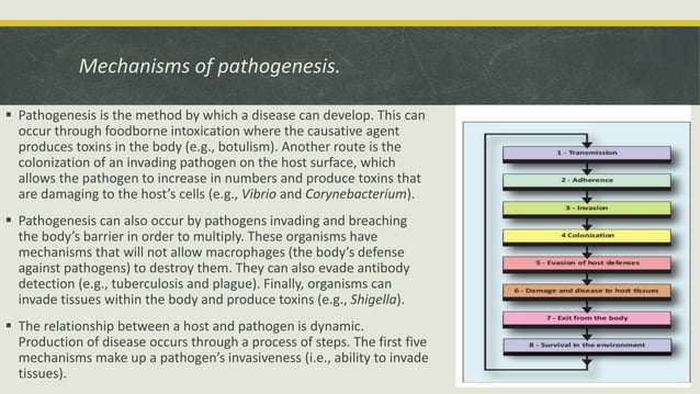 Host pathogen interactions | PPTX | Infectious Diseases | Diseases and Conditions