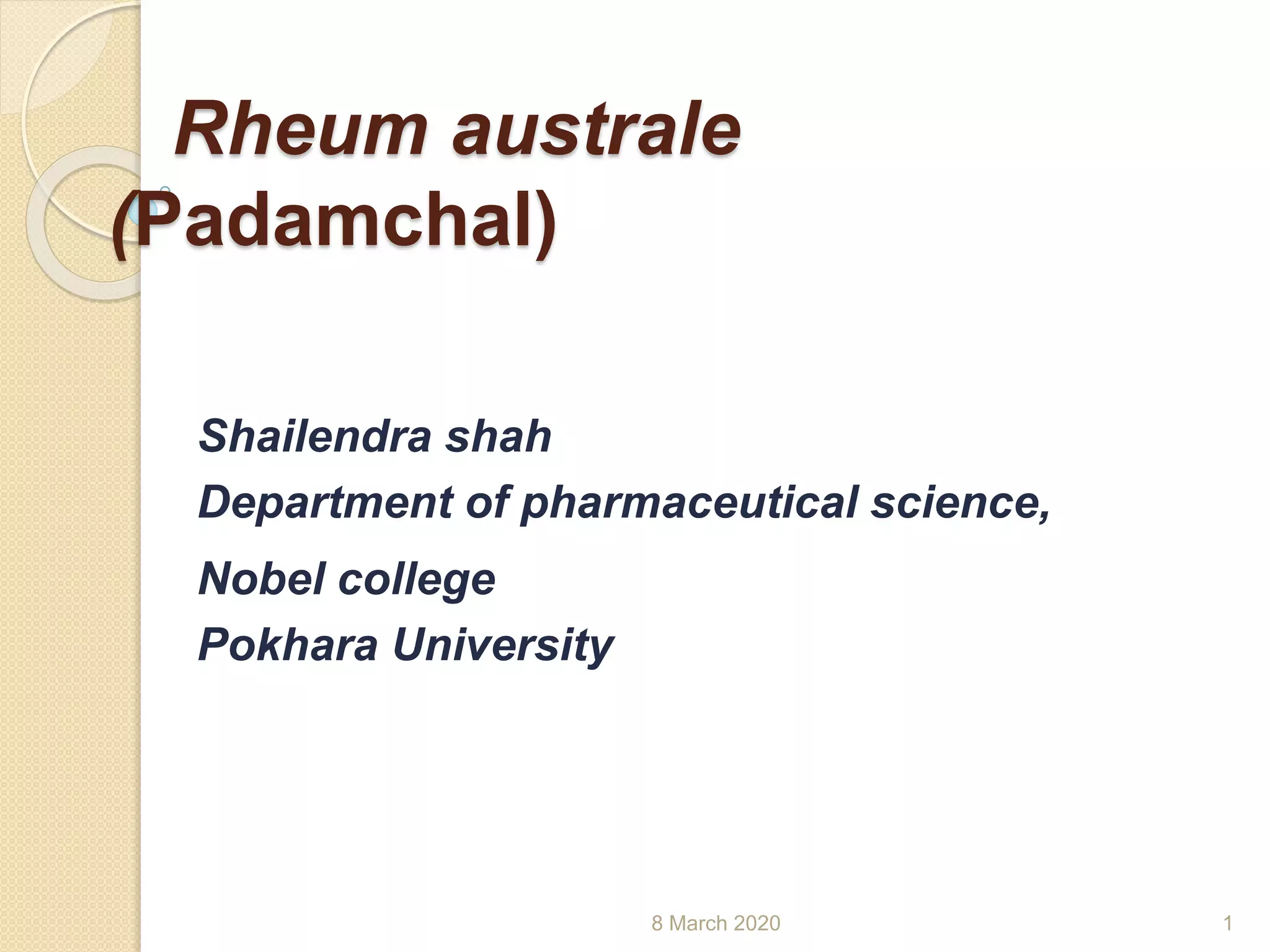 20 rheum australe (padamchal) | PPTX