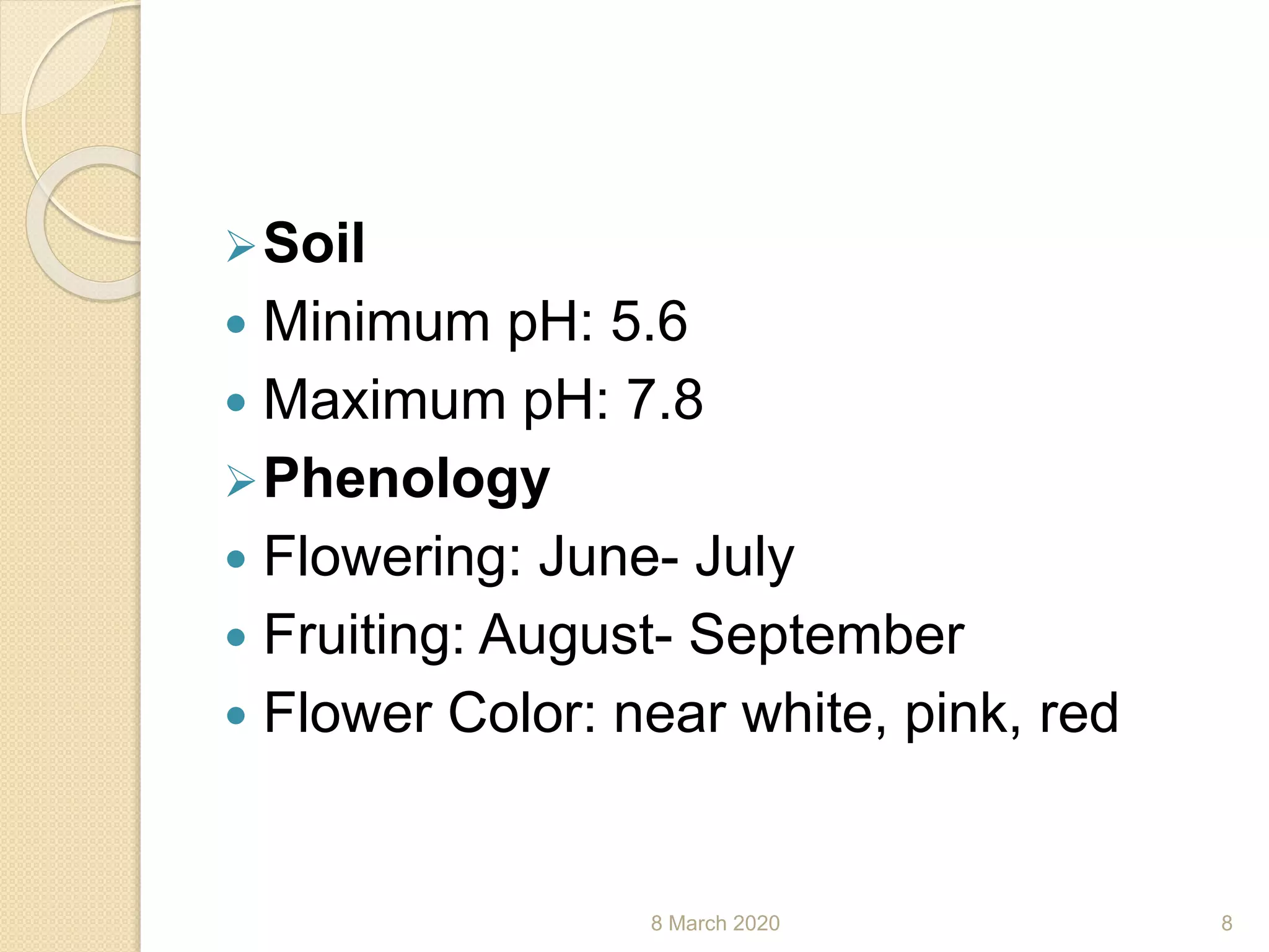 20 rheum australe (padamchal) | PPTX