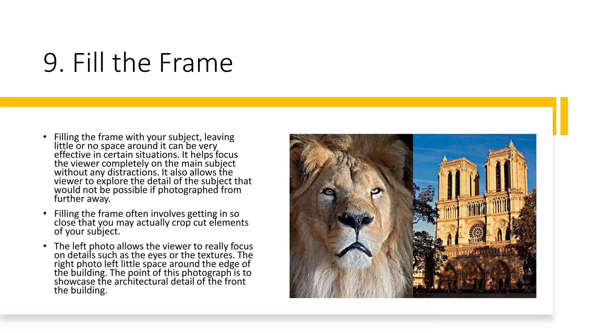 20 rules of photo composition | PPTX