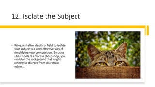 20 rules of photo composition | PPTX