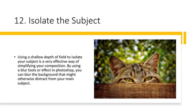 20 rules of photo composition | PPTX | Photography | Arts and Crafts