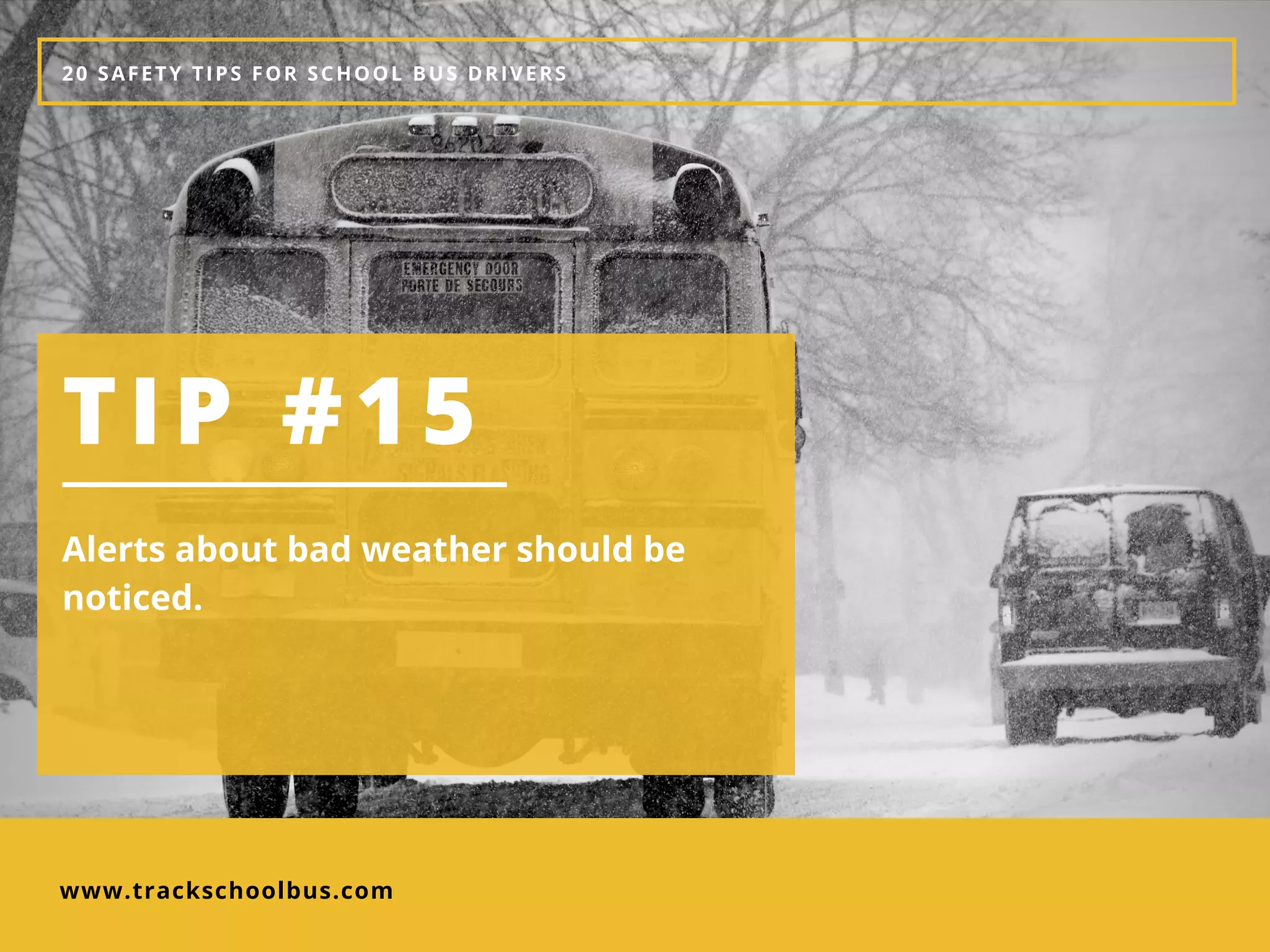 20 Safety Tips for School Bus Drivers | PDF