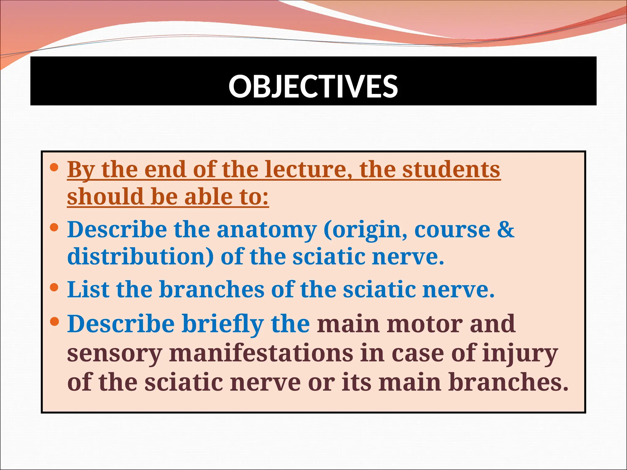 SCIATIC NERVE SCIATIC NERVE SCIATIC NERV | PPT