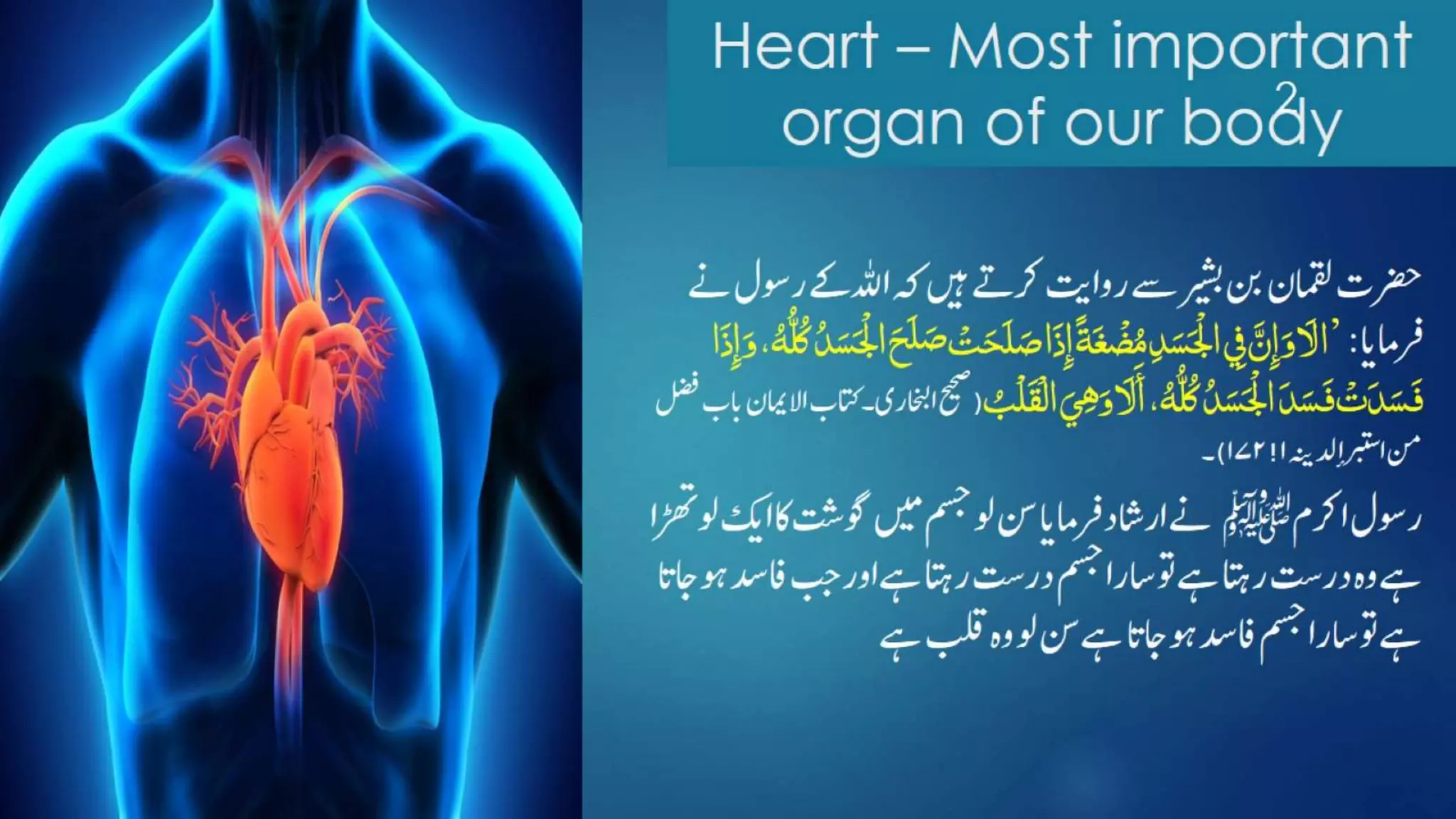20 Types of Heart pics As per Quran & Hadith | PPT