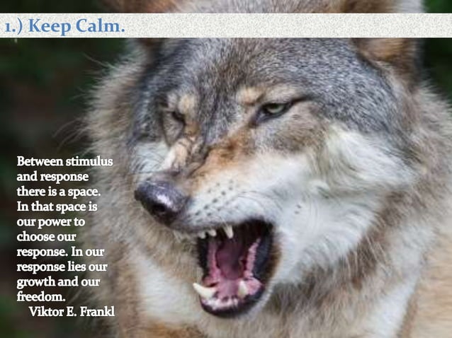 20 Great Tips To Lead A Resourceful Life. | PPTX