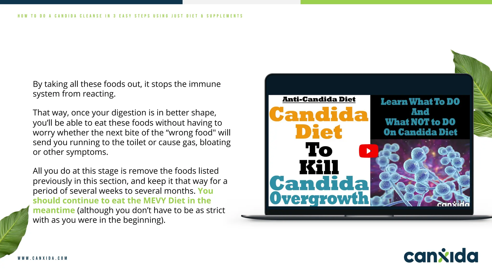 20 Years of Candida Expertise A Three-Phase Cleansing Protocol.pdf