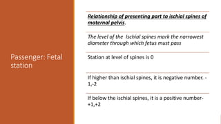 Labor aspects for students | PPTX