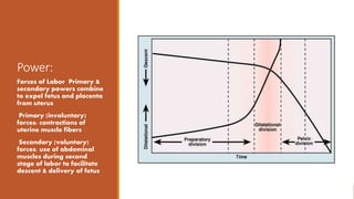 Labor aspects for students | PPTX