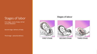 Labor aspects for students | PPTX
