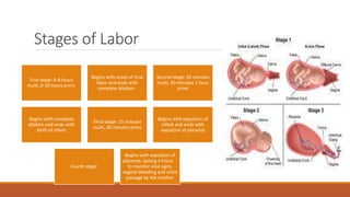 Labor aspects for students | PPTX