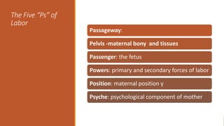 Labor aspects for students | PPTX