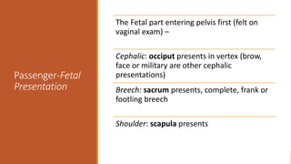 Labor aspects for students | PPTX