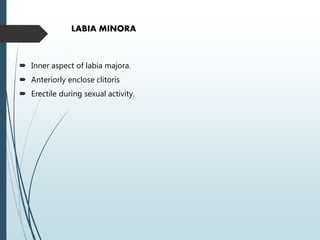 Common Gynecology conditions in relation to female tract | PPT