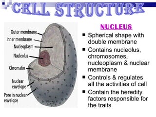 form4(BIOLOGY) chap 2 pt1 | PPT