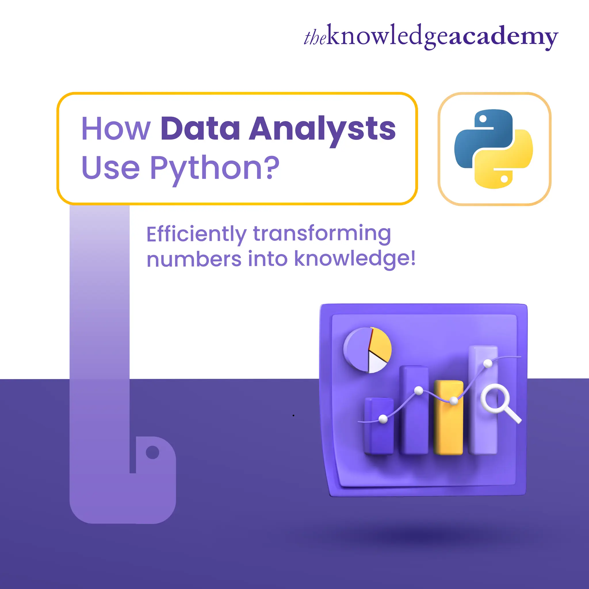 Uncover how data pros turn raw data into insights! | PDF