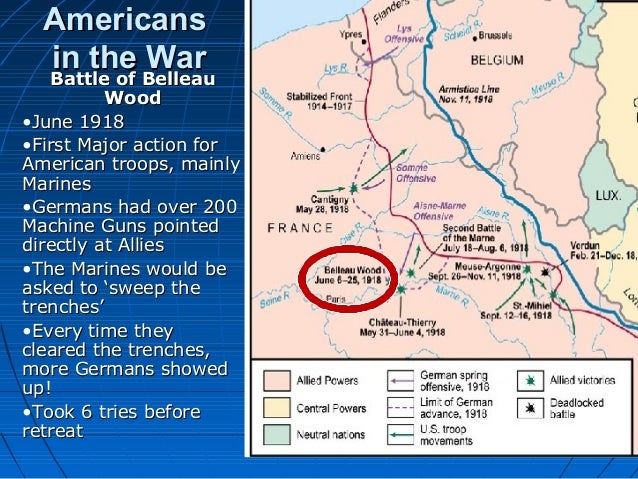 Chapter 21 world war 1 notes (revised December 2013)