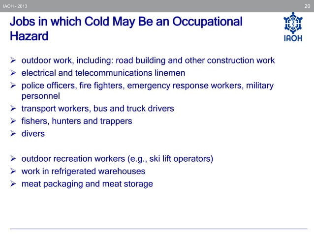 BOHS_Occupational Health_ Physical Hazards | PPT